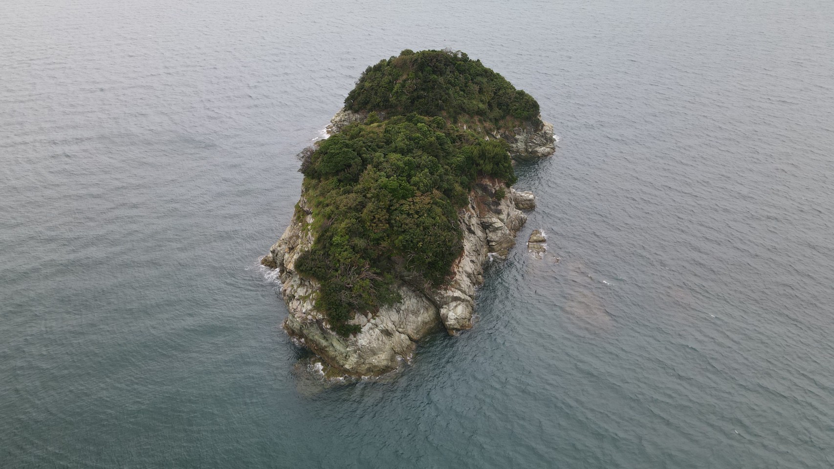 【和歌山県和歌山市】『大島・双子島』の海釣りガイド（釣れる魚・渡し船）｜和歌山釣りwalker